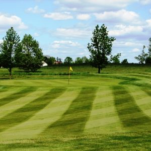 Gallery - Royal Oaks Golf Club